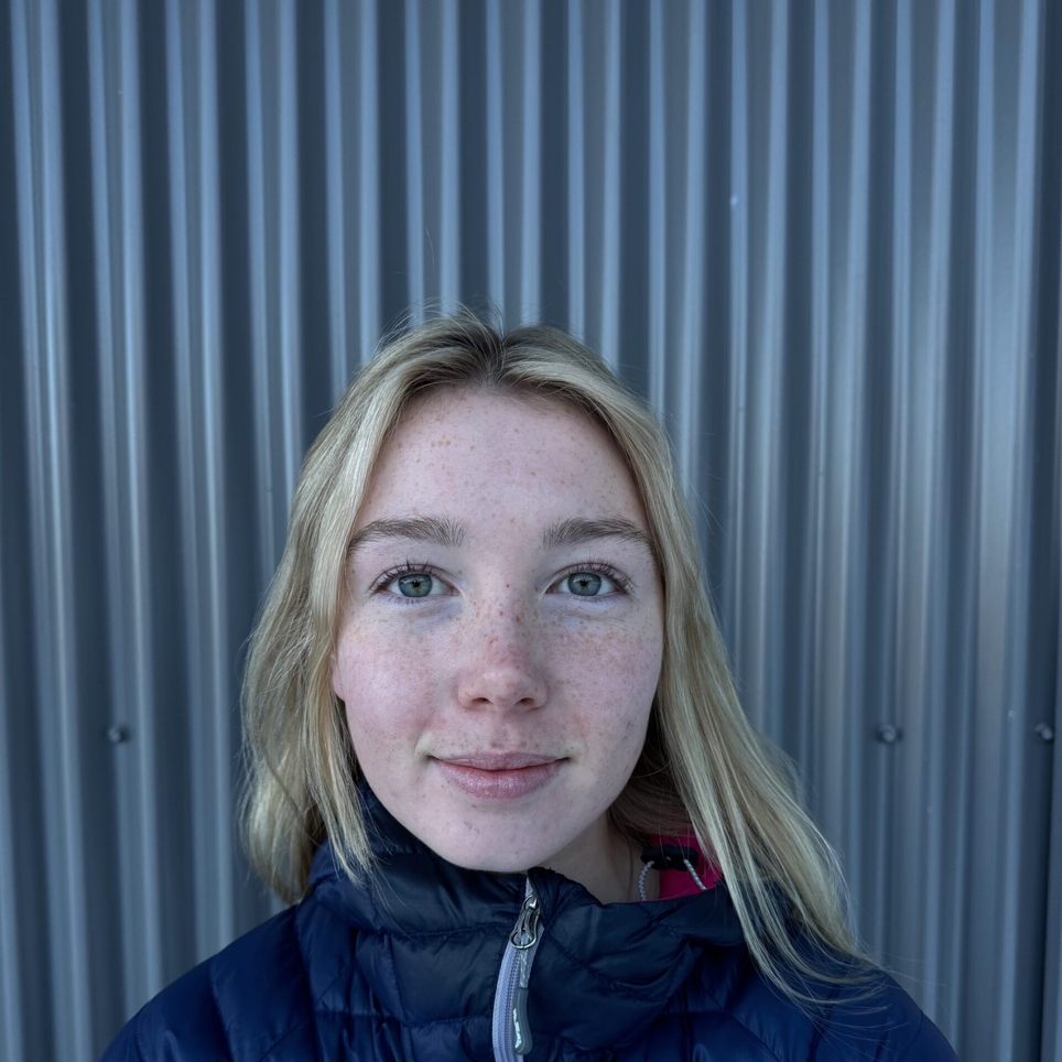 2025 Coupe du monde FIS de bosses et de bosses en parallèle freestyle ...